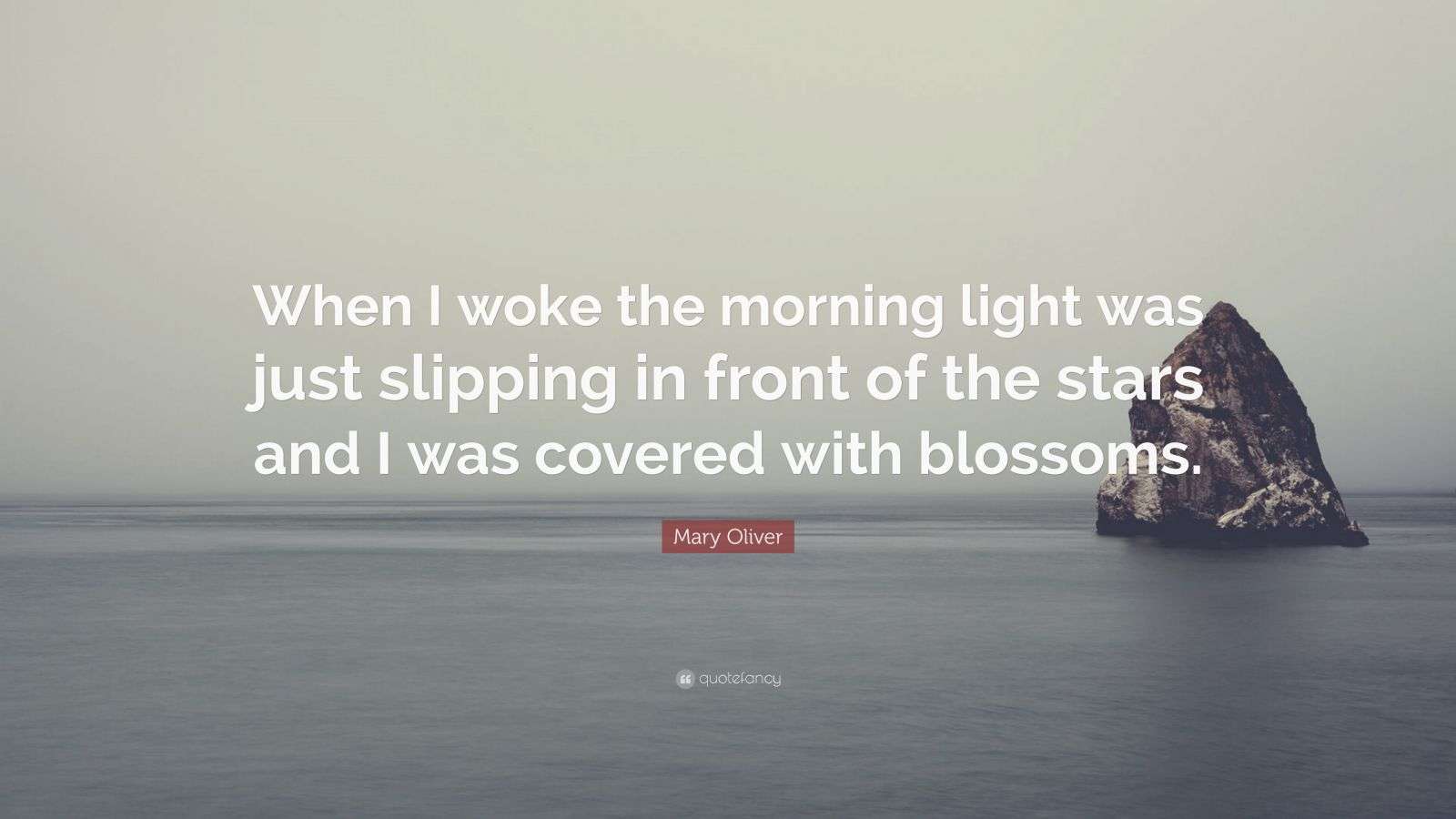 Mary Oliver Quote: “When I woke the morning light was just slipping in ...