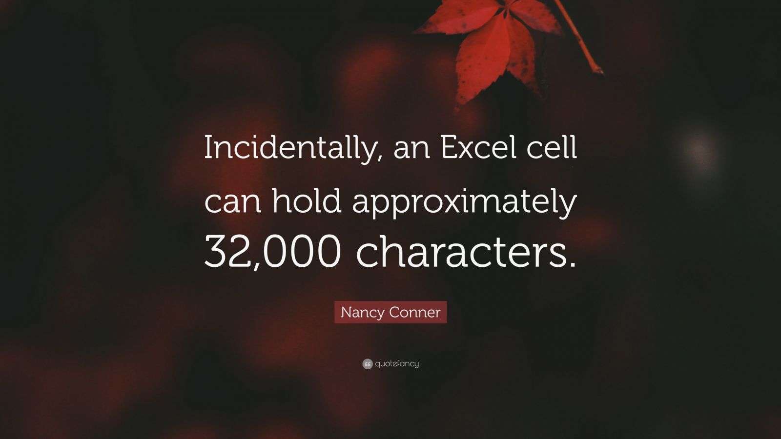 Nancy Conner Quote: “Incidentally, an Excel cell can hold approximately ...