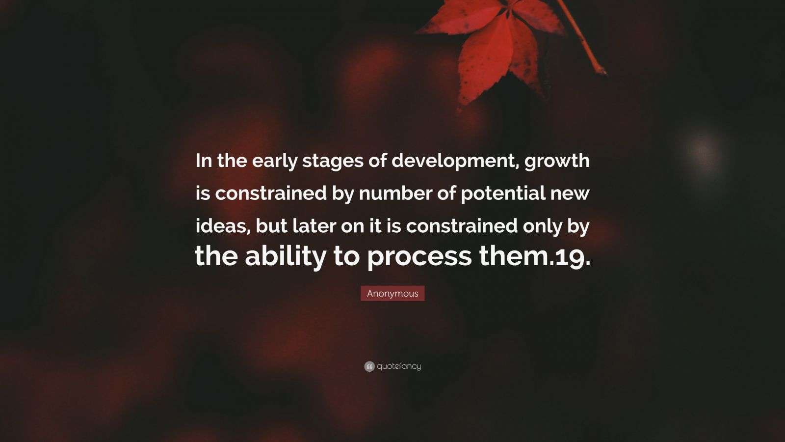 Anonymous Quote: “In the early stages of development, growth is ...