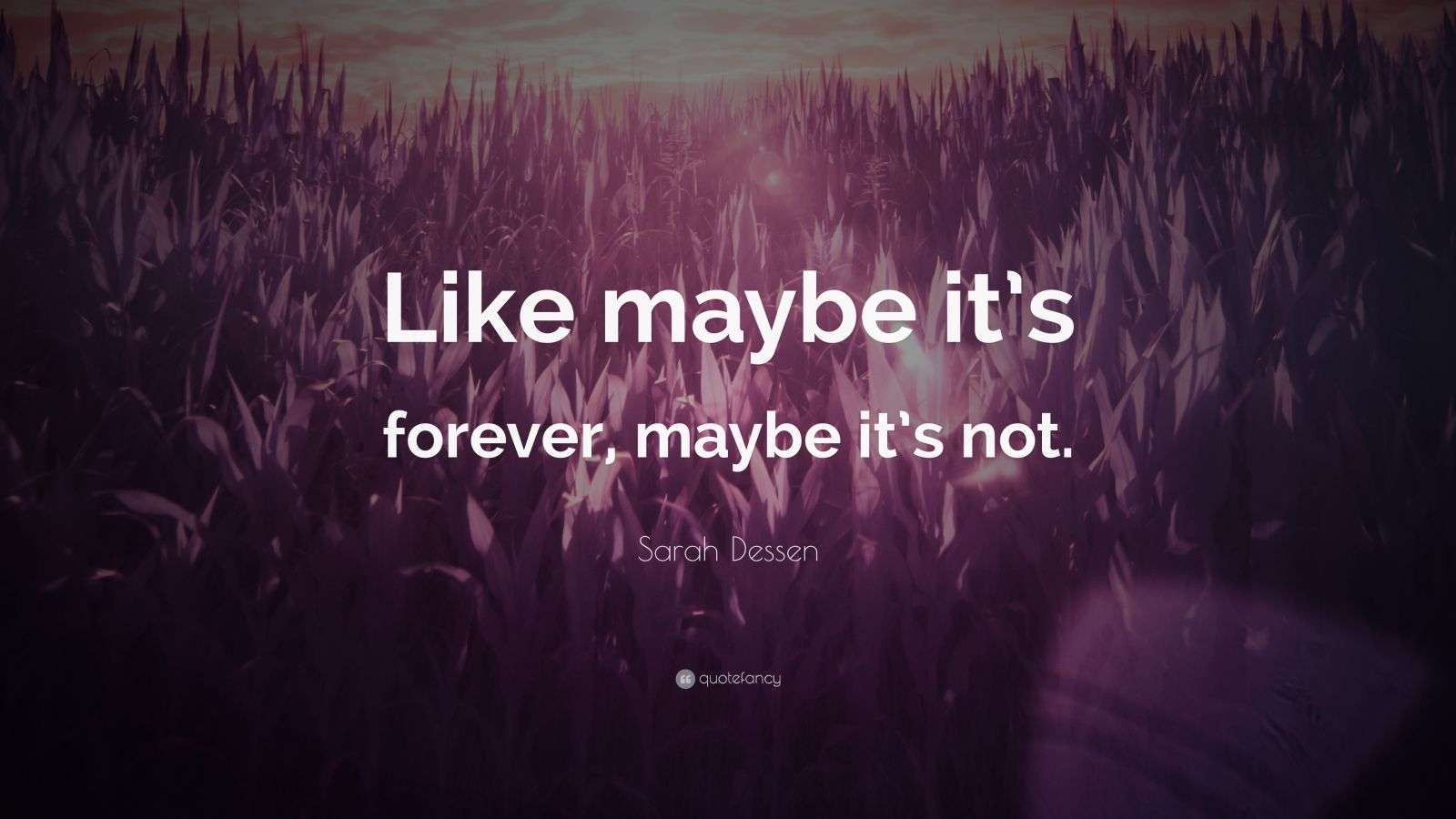 Sarah Dessen Quote: “Like maybe it’s forever, maybe it’s not.”