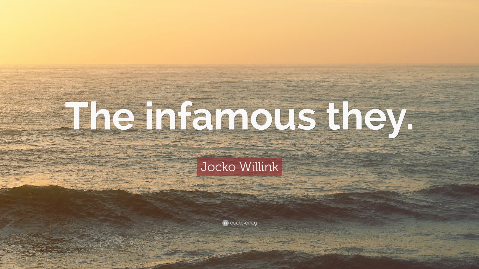 Jocko Willink Quote: “The infamous they.”