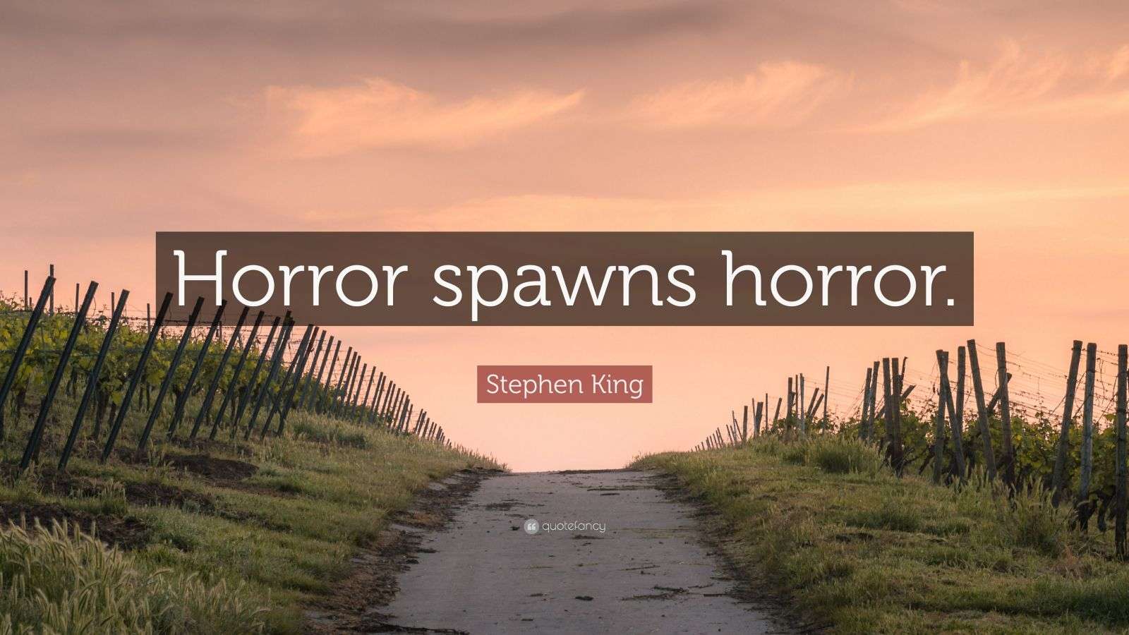 Stephen King Quote: “Horror spawns horror.”