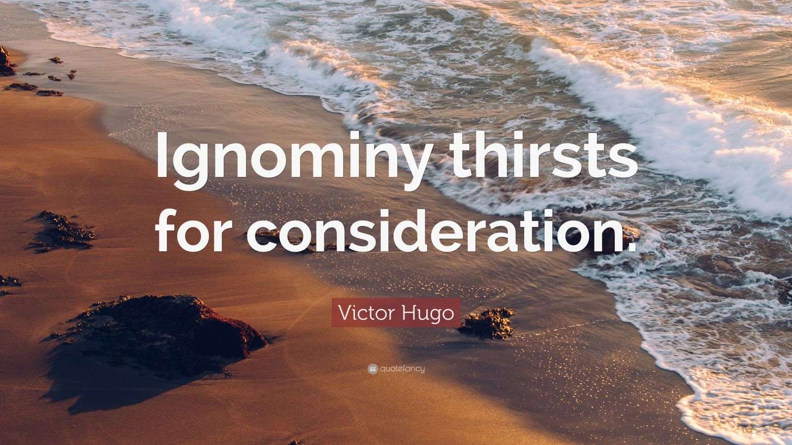 Victor Hugo Quote: “Ignominy thirsts for consideration.”