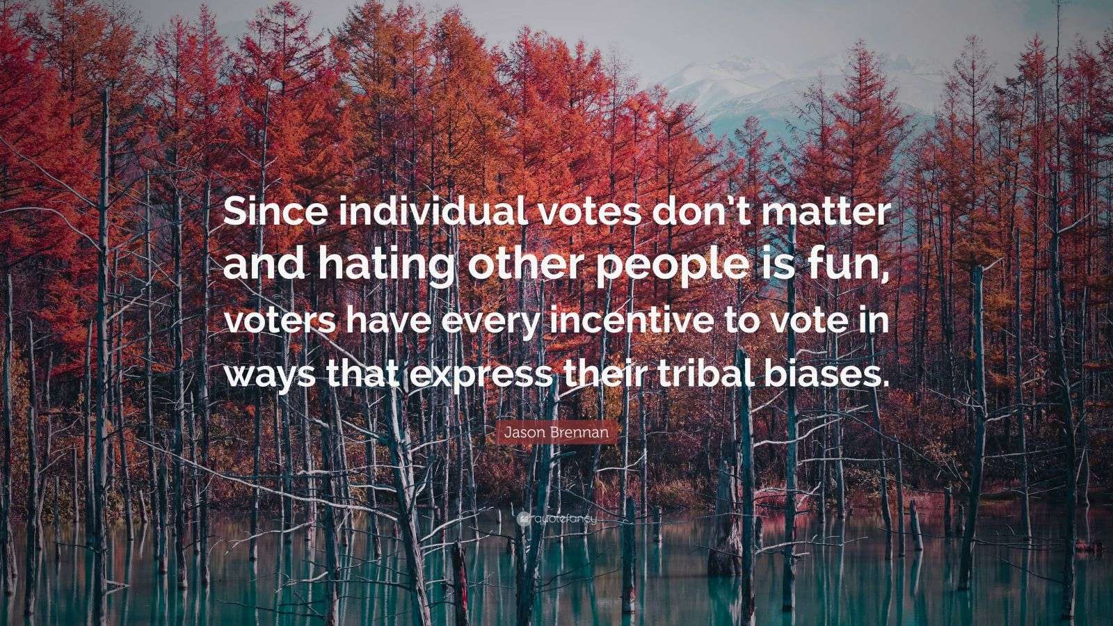 Jason Brennan Quote: “Since individual votes don’t matter and hating ...