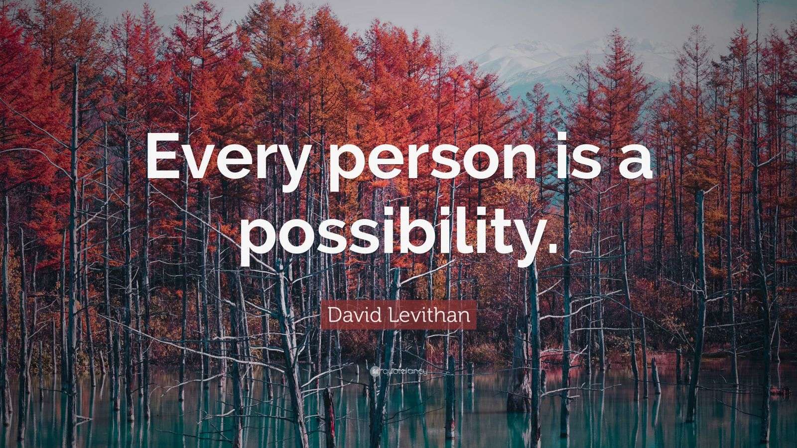 David Levithan Quote: “Every person is a possibility.”