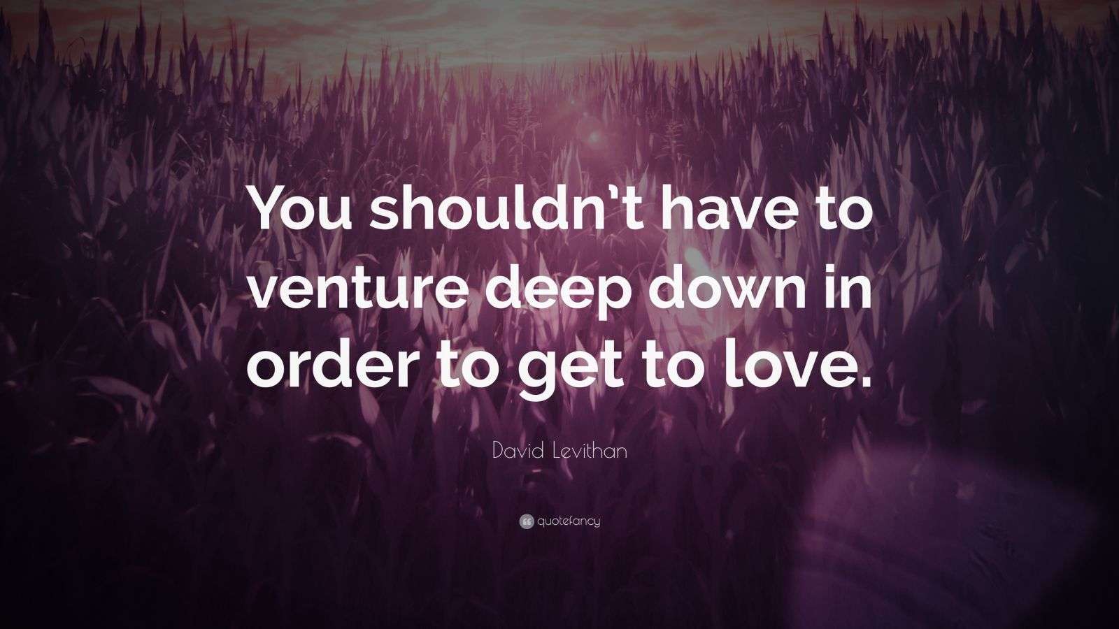 David Levithan Quote: “You shouldn’t have to venture deep down in order ...