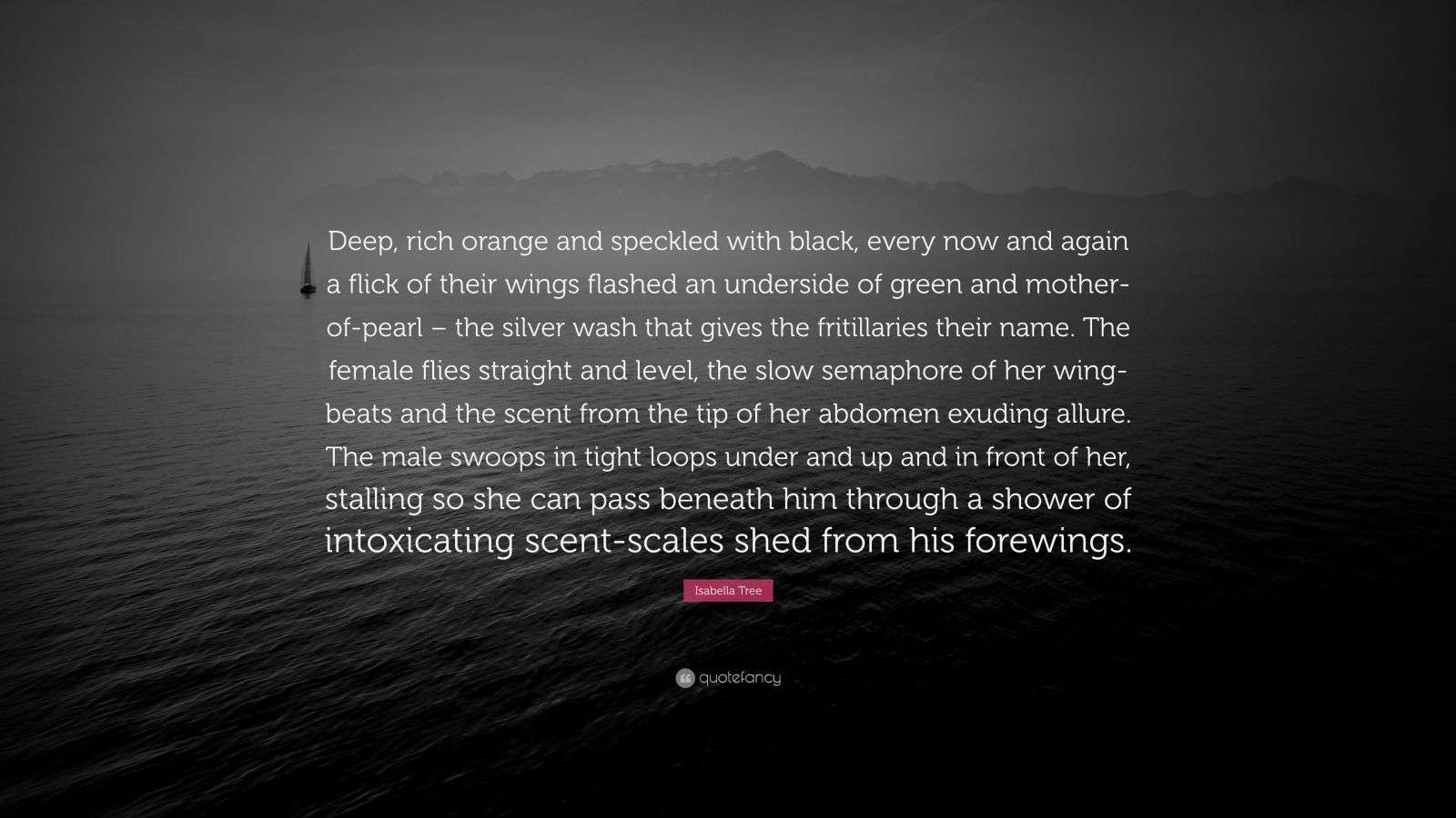 Top 7 Isabella Tree Quotes (2025 Update) - QuoteFancy