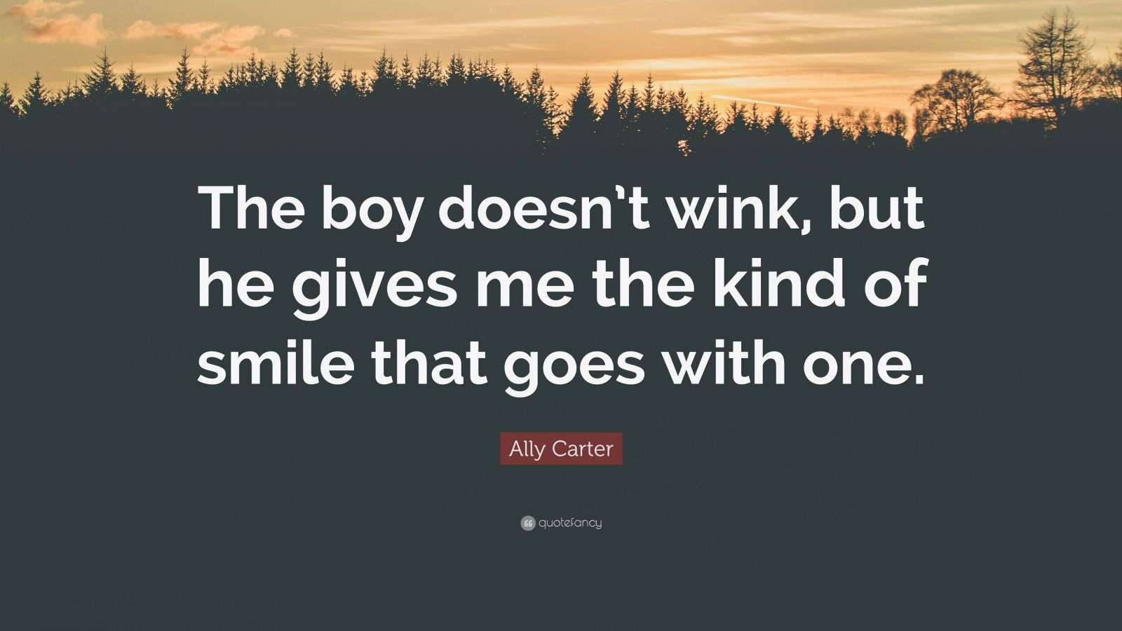 Ally Carter Quote: “The boy doesn’t wink, but he gives me the kind of ...