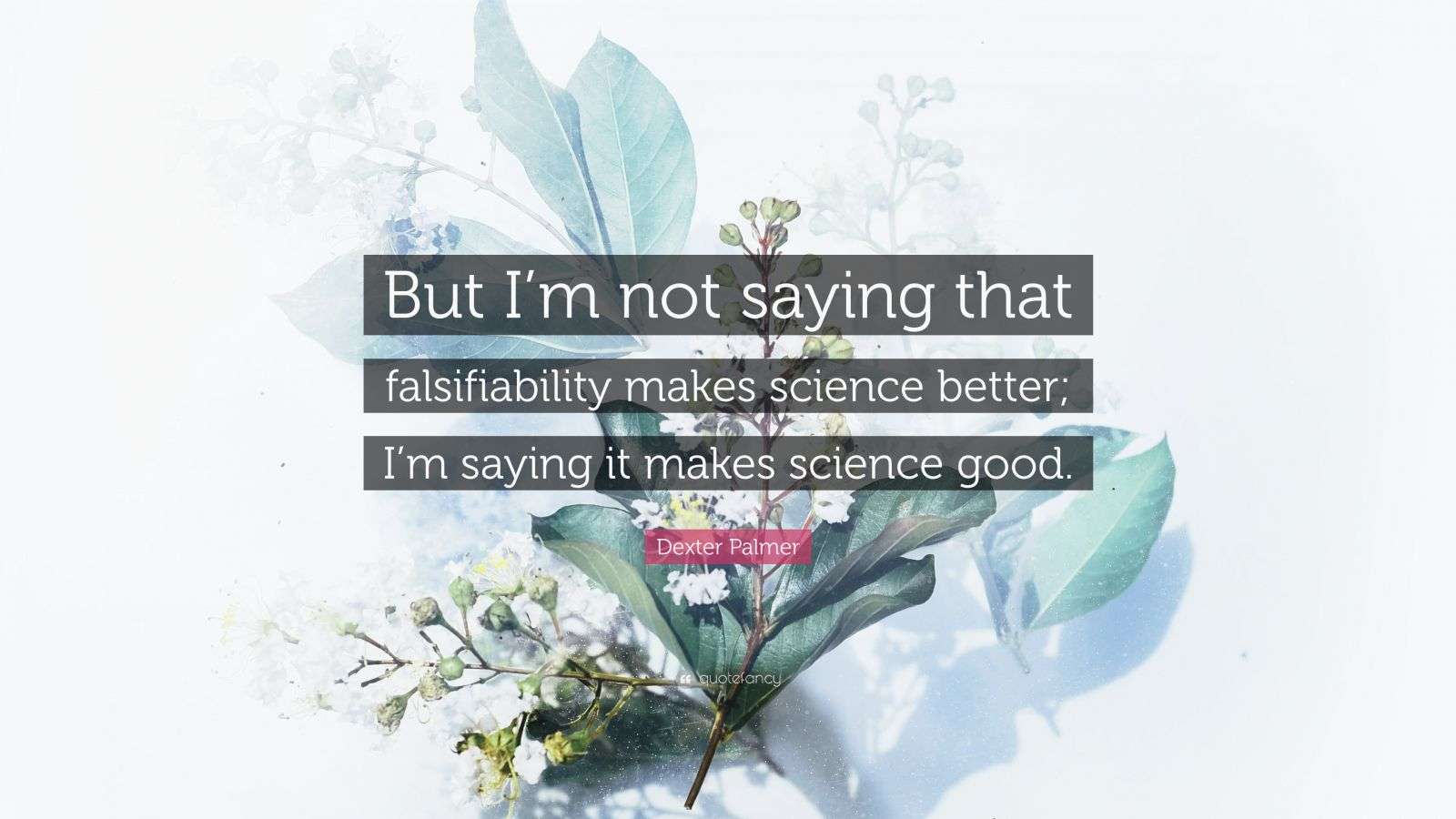 Dexter Palmer Quote: “But I’m not saying that falsifiability makes ...