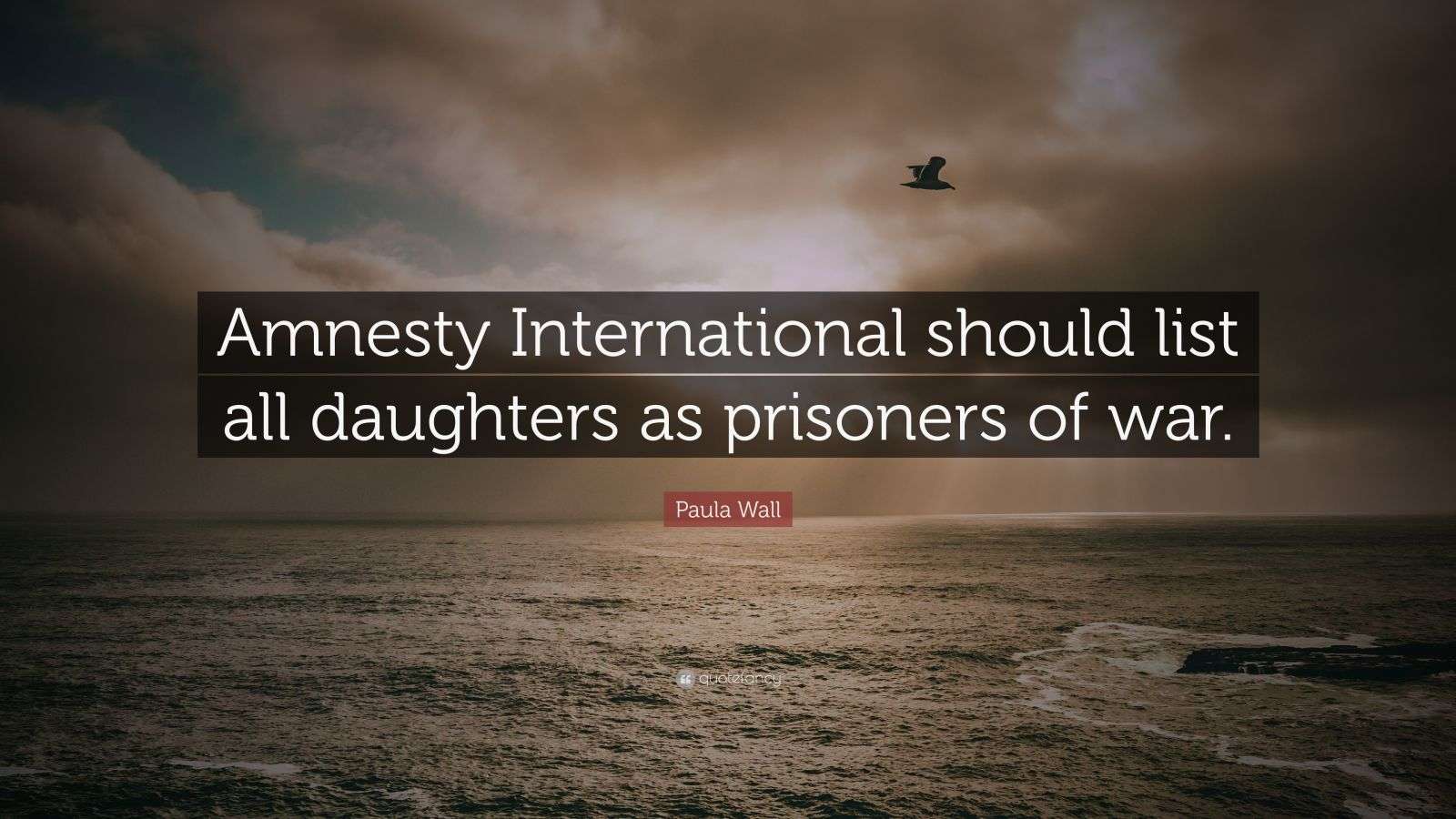 Paula Wall Quote: “Amnesty International should list all daughters as ...