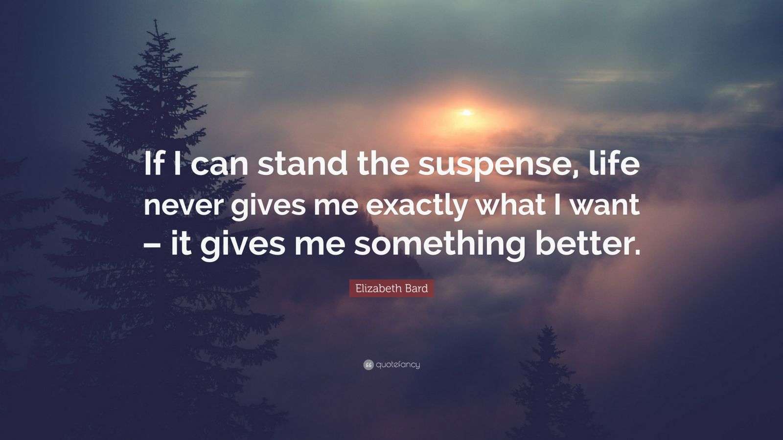 Elizabeth Bard Quote: “If I can stand the suspense, life never gives me ...