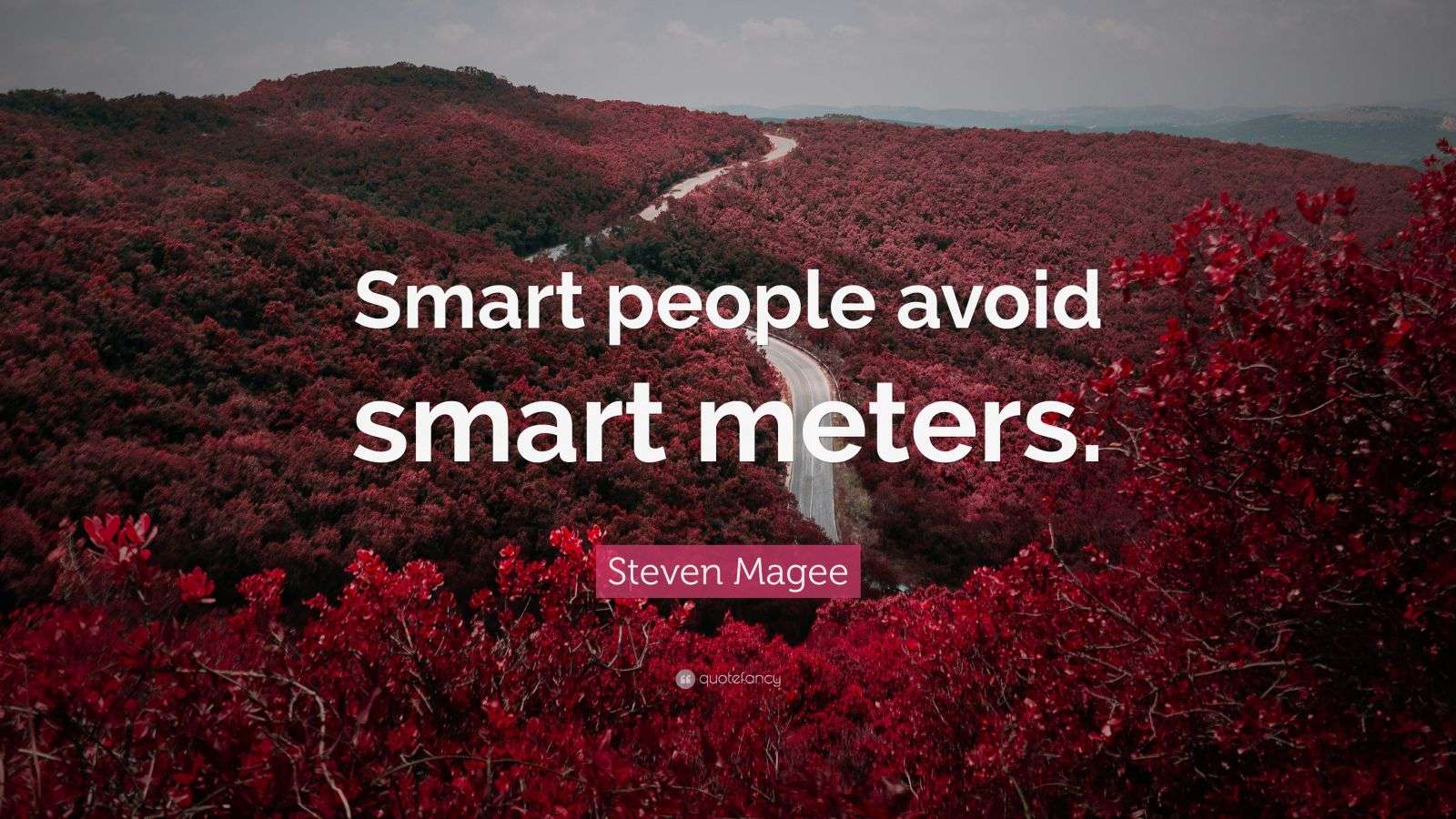 Steven Magee Quote: “Smart people avoid smart meters.”