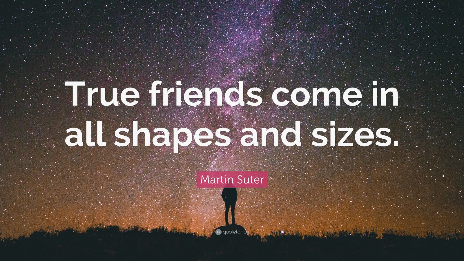 Martin Suter Quote: “True friends come in all shapes and sizes.”