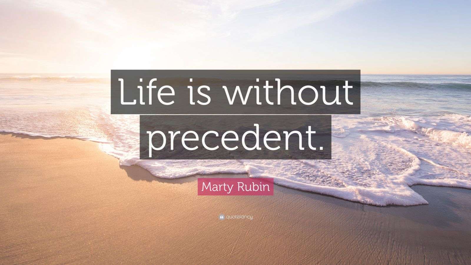 Marty Rubin Quote: “Life is without precedent.”