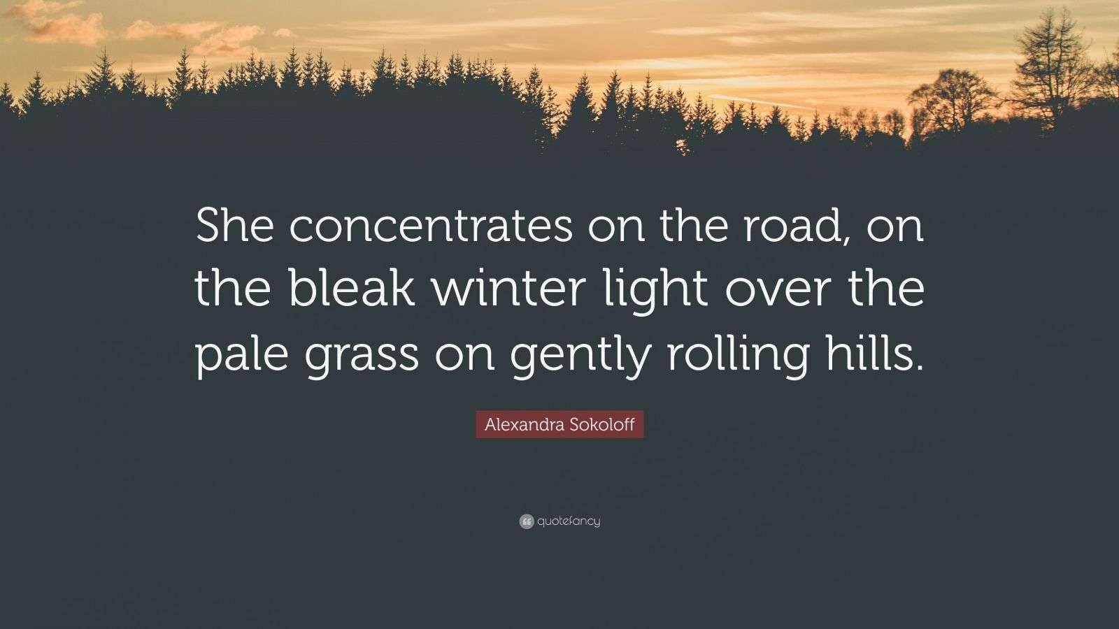 Alexandra Sokoloff Quote: “She concentrates on the road, on the bleak ...