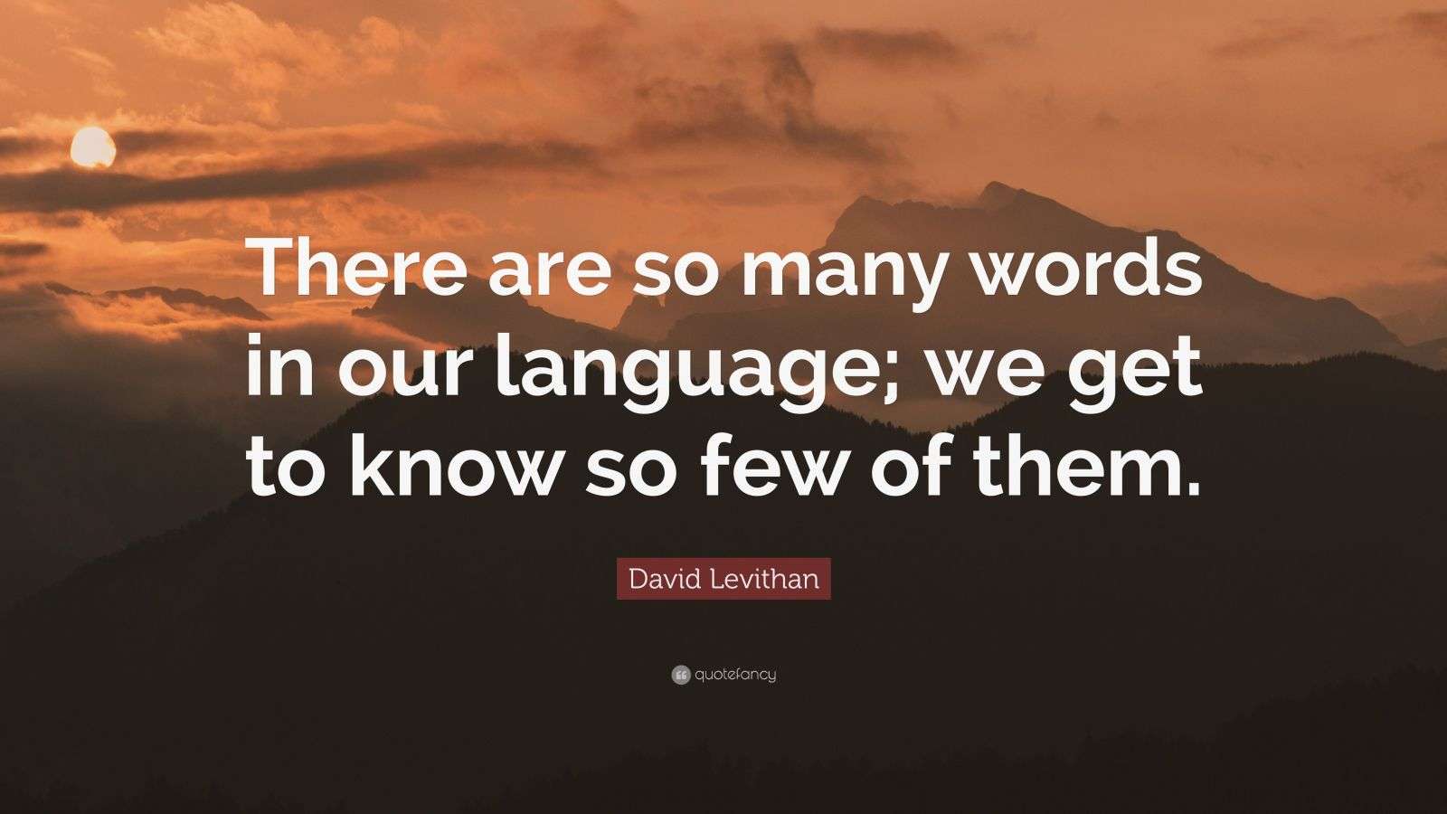 David Levithan Quote: “There are so many words in our language; we get ...