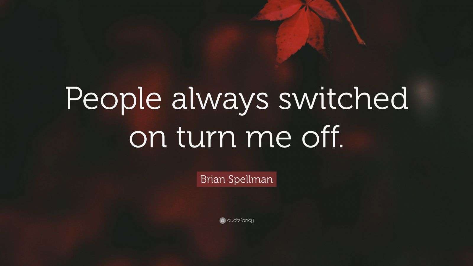 Brian Spellman Quote: “People always switched on turn me off.”