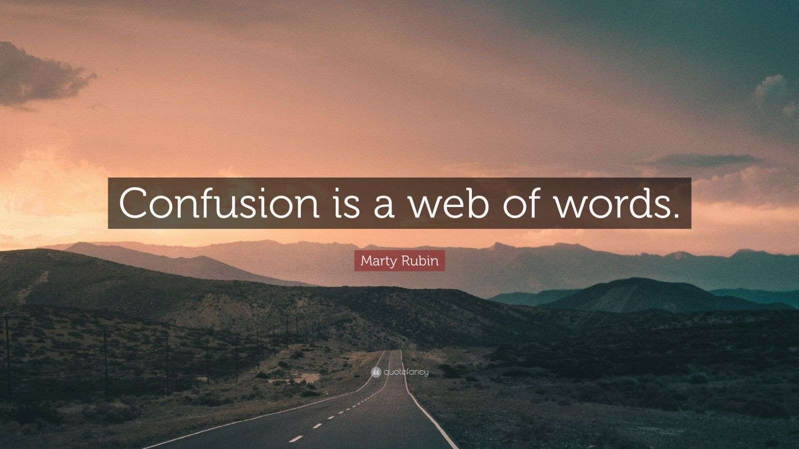 Marty Rubin Quote: “Confusion is a web of words.”