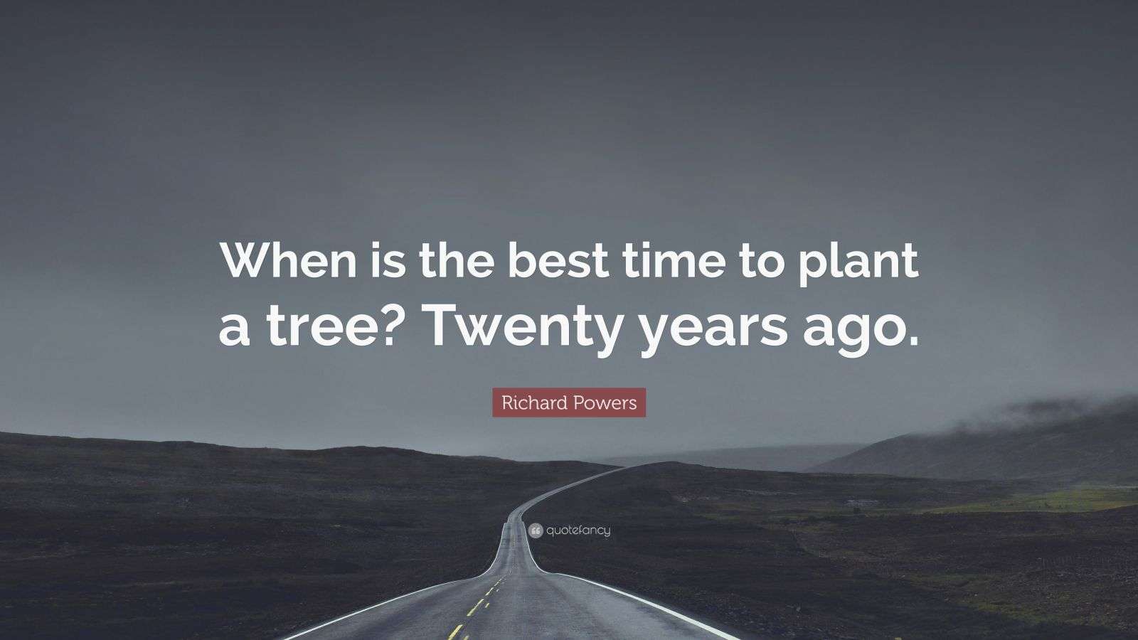 Richard Powers Quote: “When is the best time to plant a tree? Twenty ...