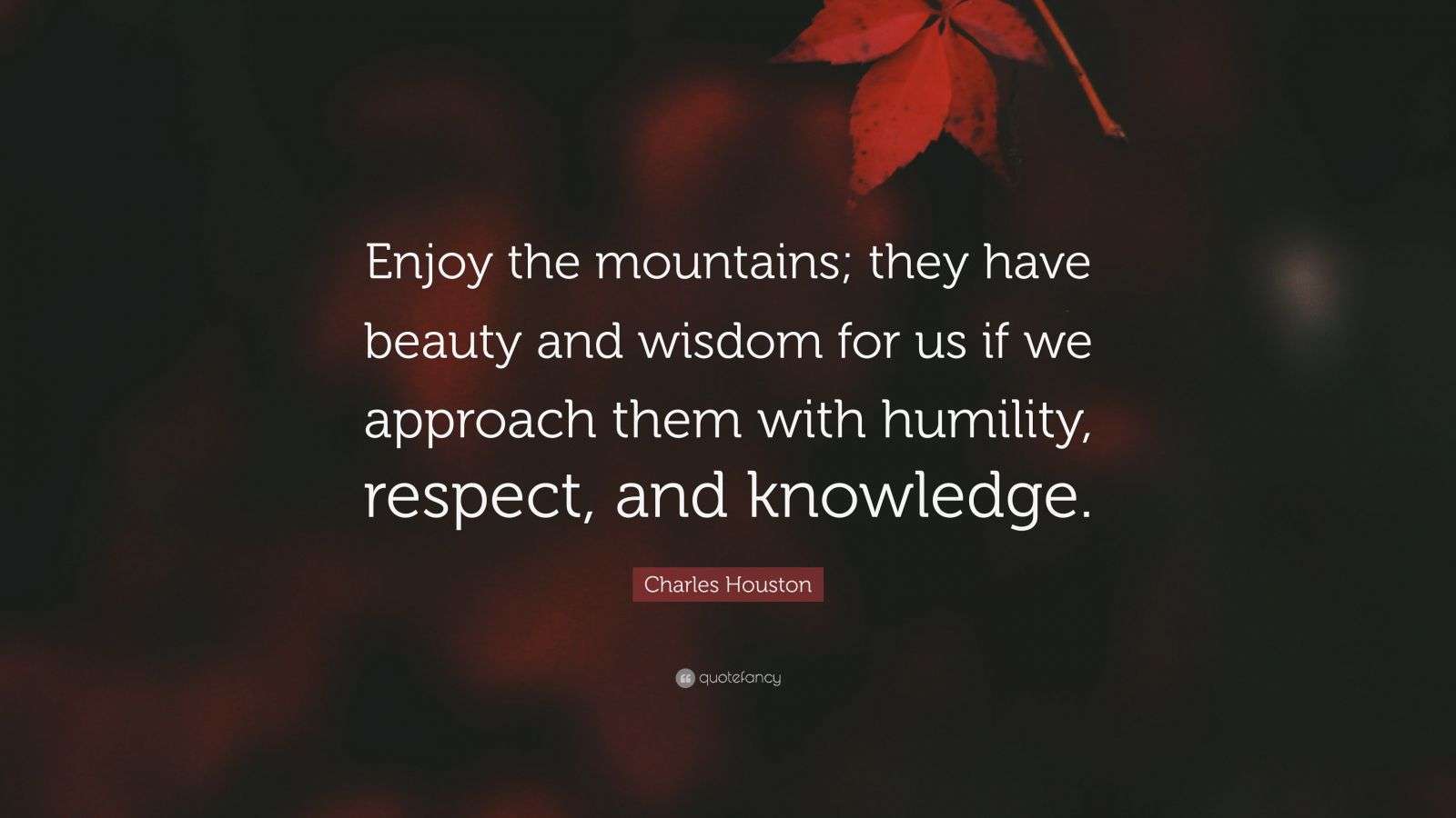Charles Houston Quote: “Enjoy the mountains; they have beauty and ...