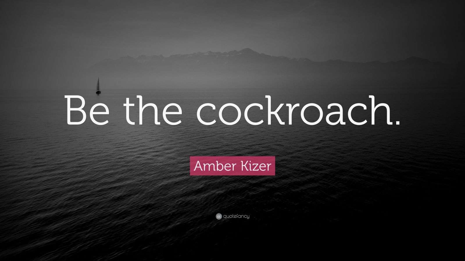 Amber Kizer Quote: “Be the cockroach.”