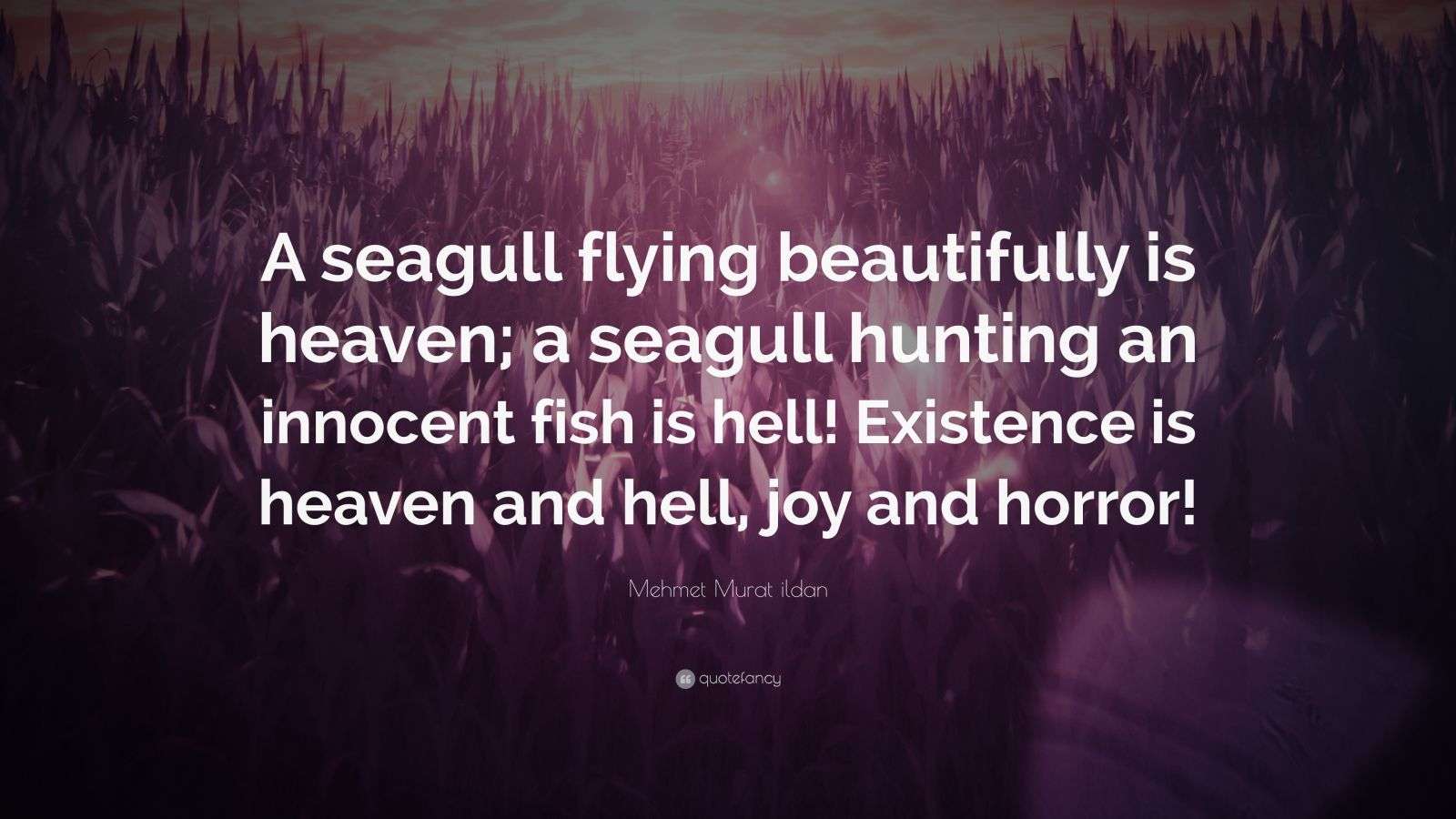 Mehmet Murat ildan Quote: “A seagull flying beautifully is heaven; a ...