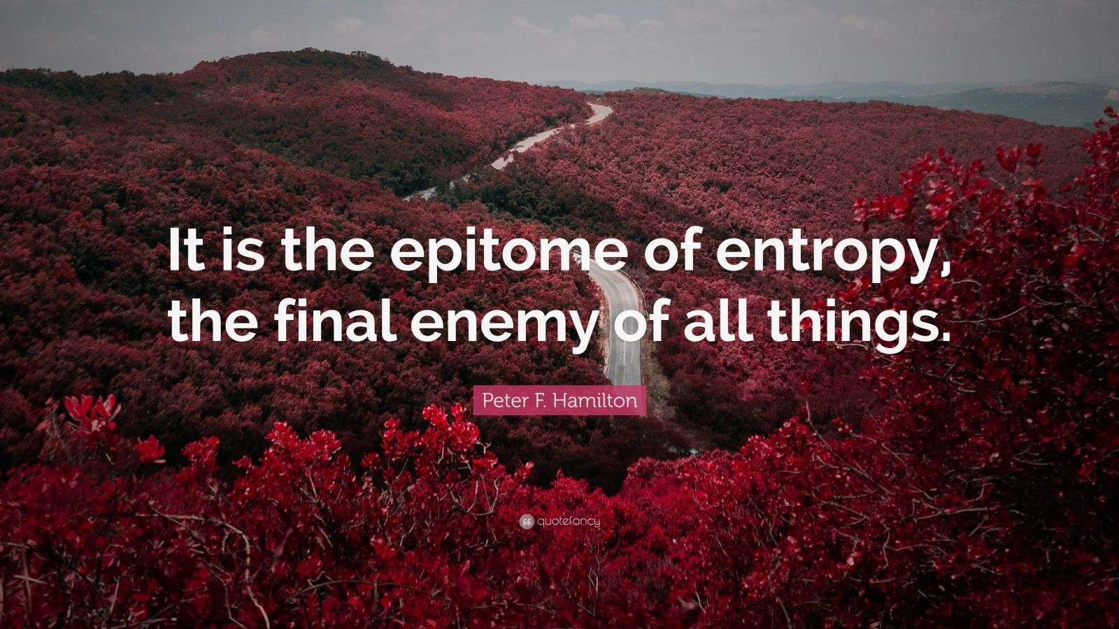 Peter F. Hamilton Quote: “It is the epitome of entropy, the final enemy ...