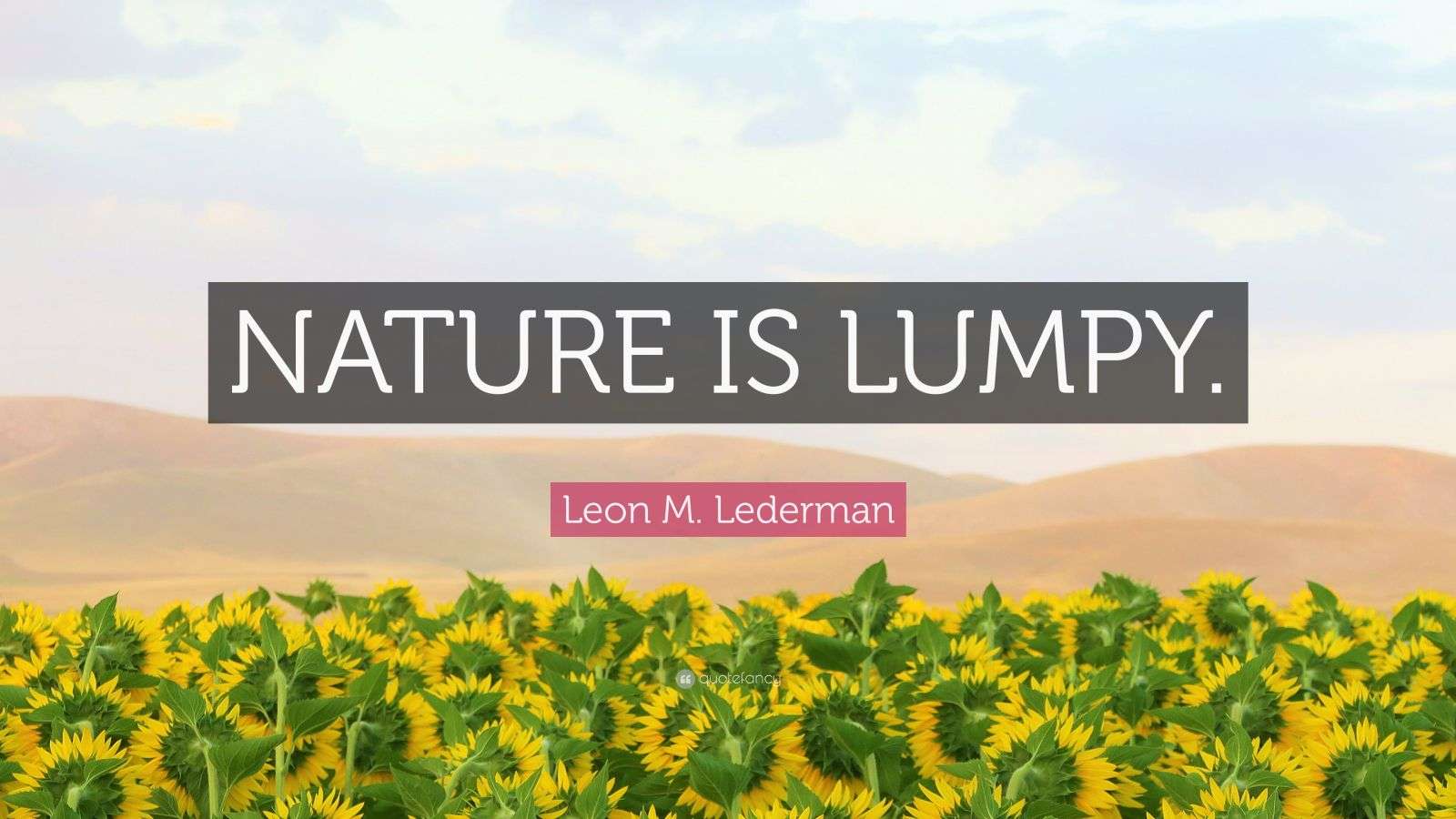 Leon M. Lederman Quote: “NATURE IS LUMPY.”