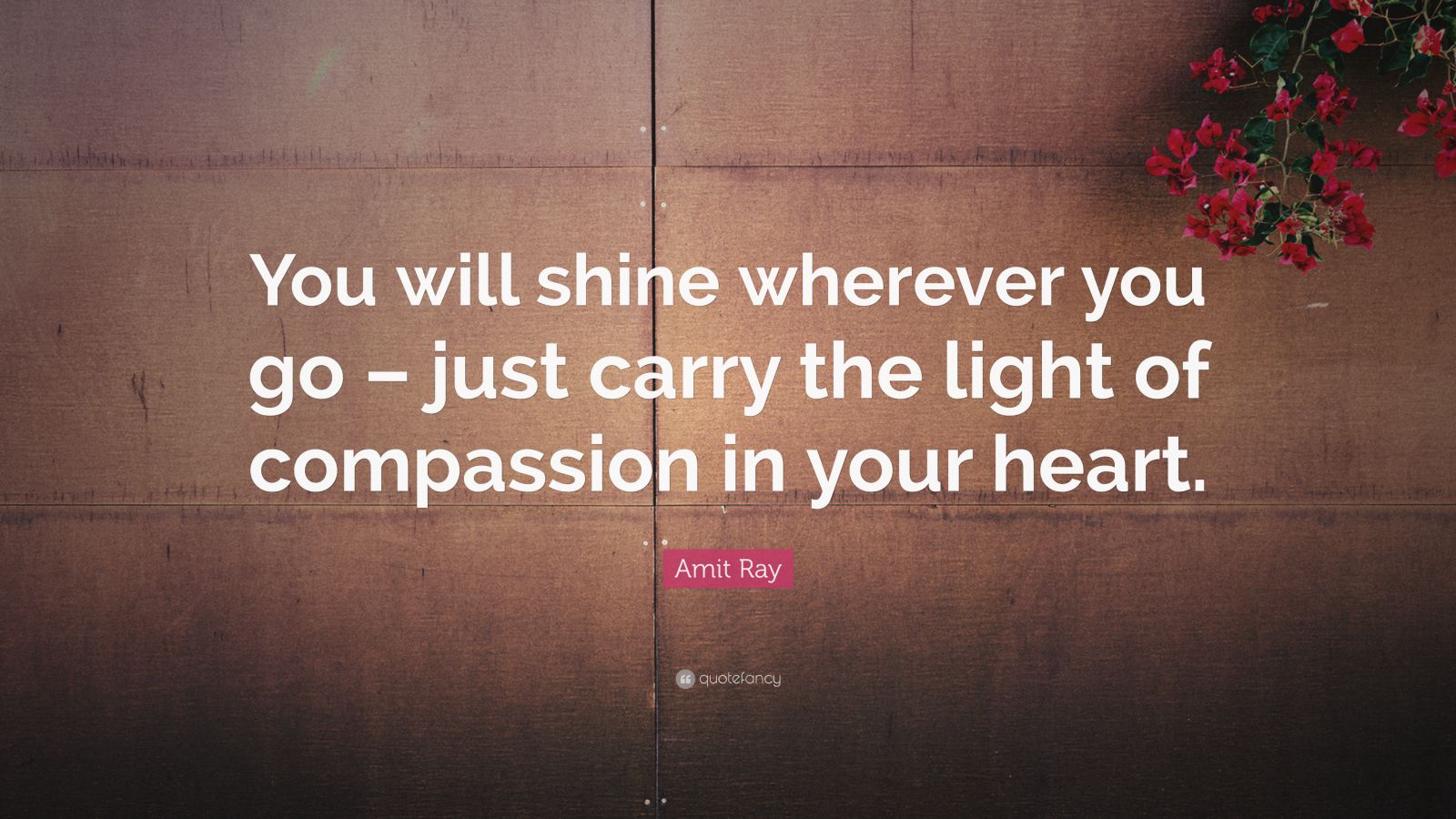 Amit Ray Quote: “You will shine wherever you go – just carry the light ...