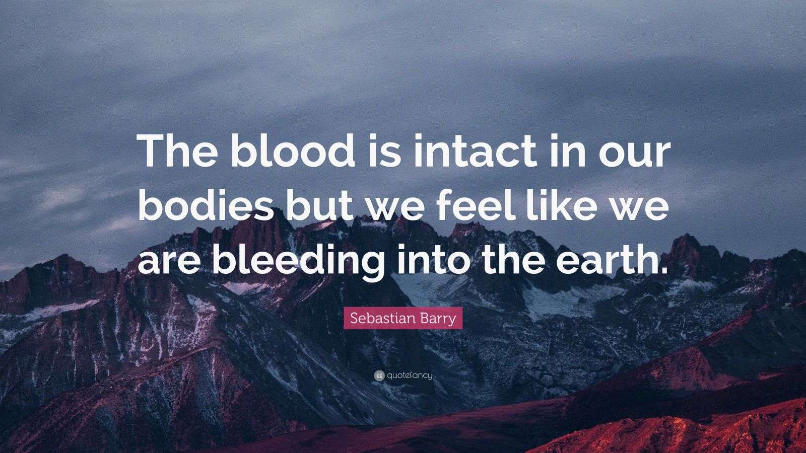 Sebastian Barry Quote: “The blood is intact in our bodies but we feel ...