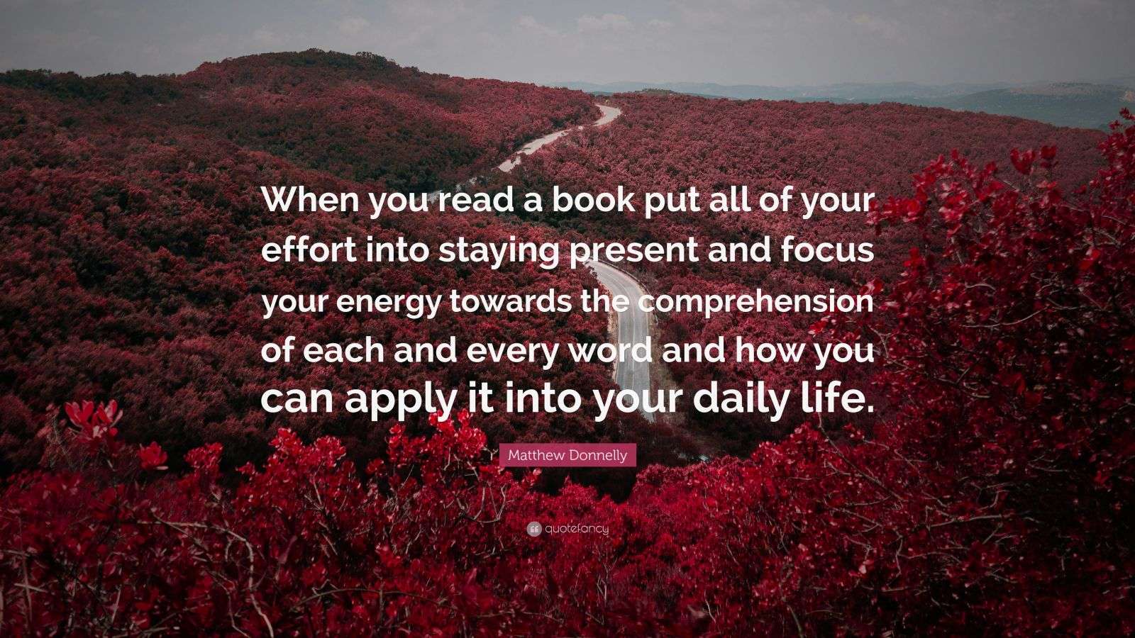 Matthew Donnelly Quote: “When you read a book put all of your effort ...