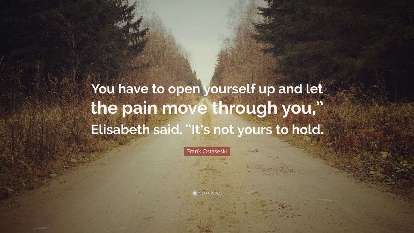 Frank Ostaseski Quote: “You have to open yourself up and let the pain ...