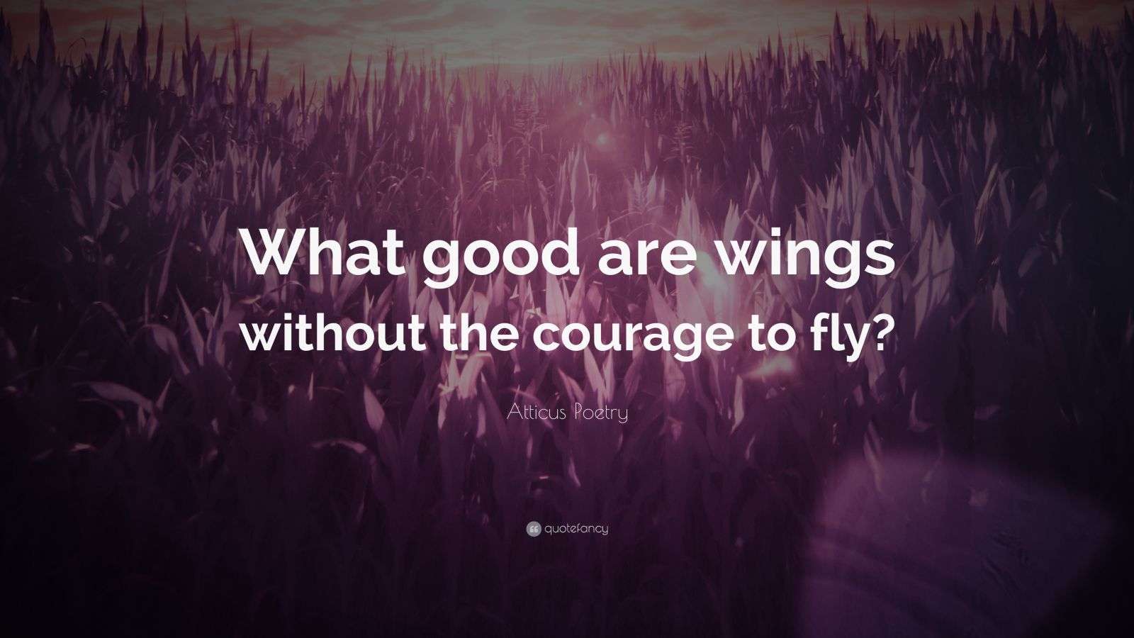 Atticus Poetry Quote: “What good are wings without the courage to fly?”