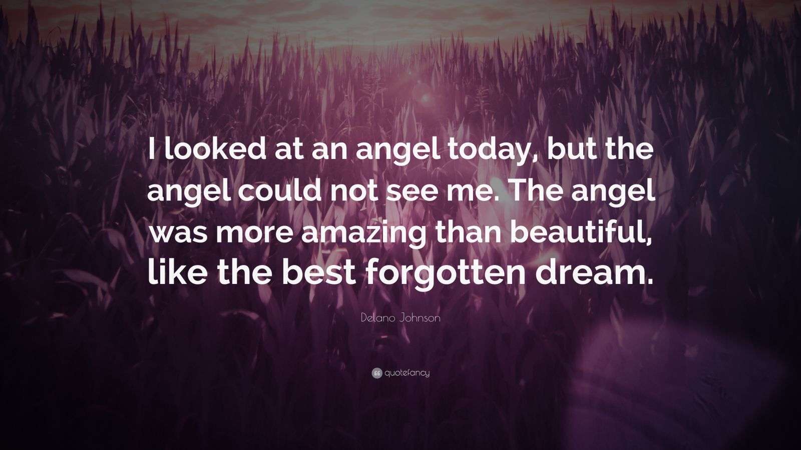 Delano Johnson Quote: “I looked at an angel today, but the angel could ...