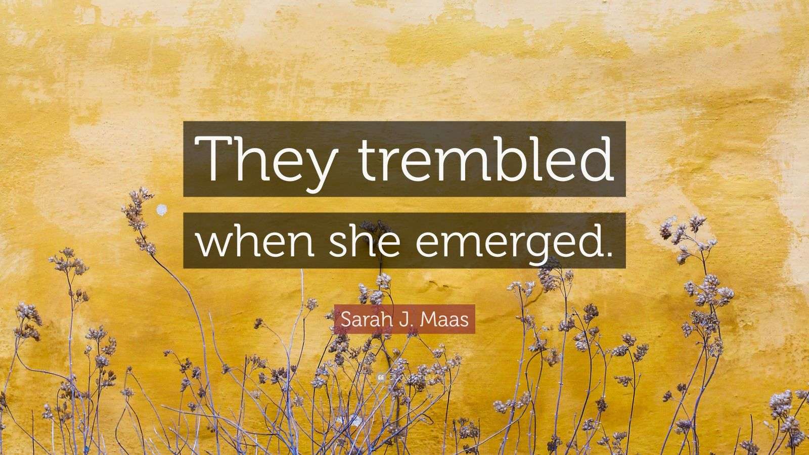 Sarah J. Maas Quote: “They trembled when she emerged.”