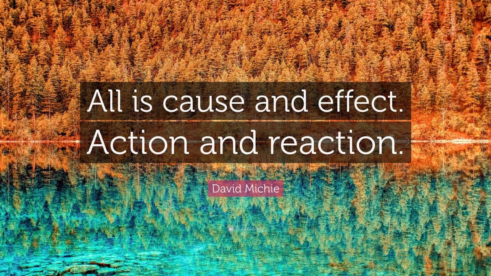 David Michie Quote: “All is cause and effect. Action and reaction.”