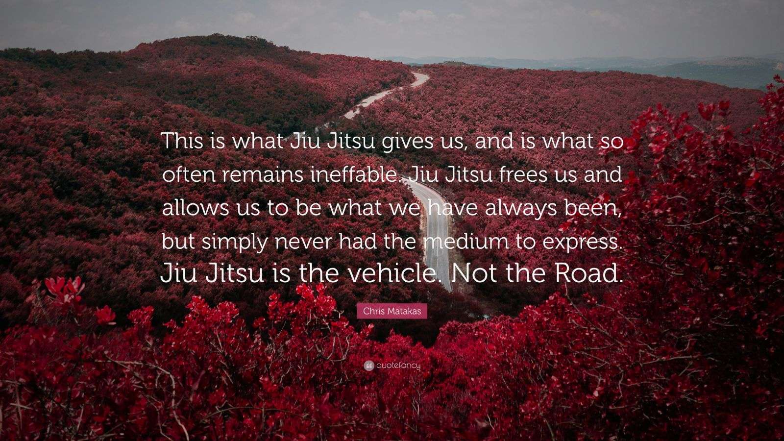 Chris Matakas Quote: “This is what Jiu Jitsu gives us, and is what so ...