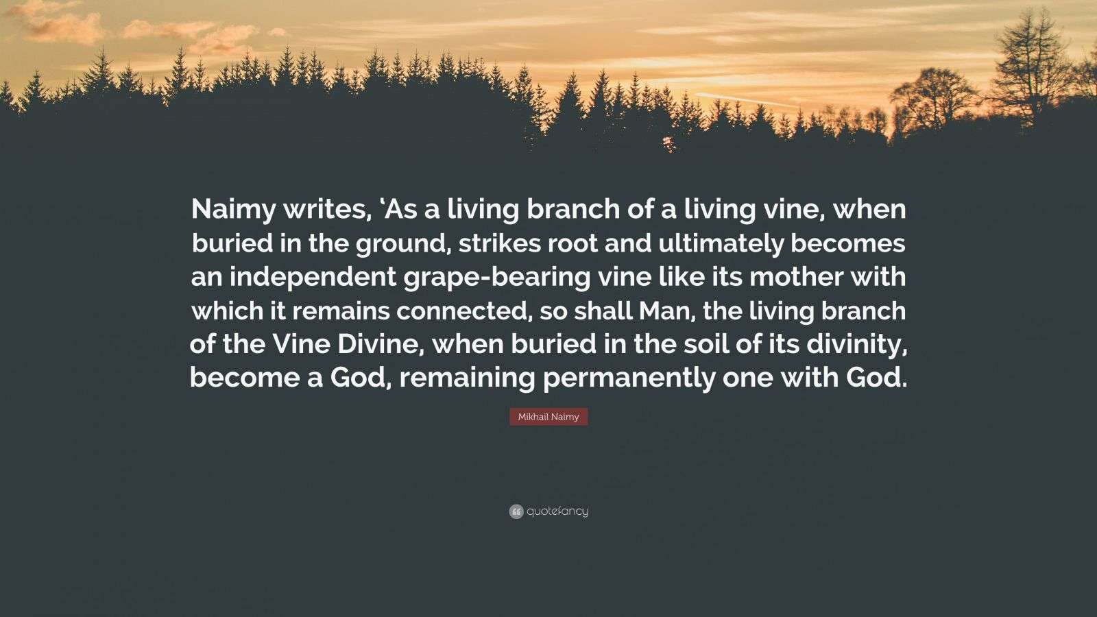 Mikhail Naimy Quote: “Naimy writes, ‘As a living branch of a living ...