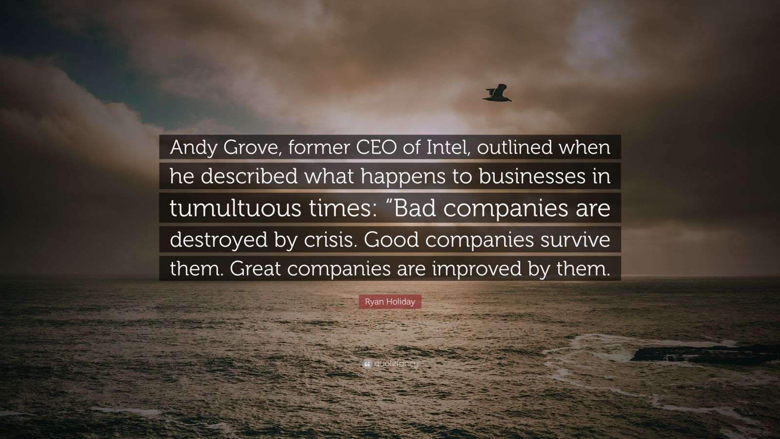Ryan Holiday Quote: “Andy Grove, former CEO of Intel, outlined when he ...