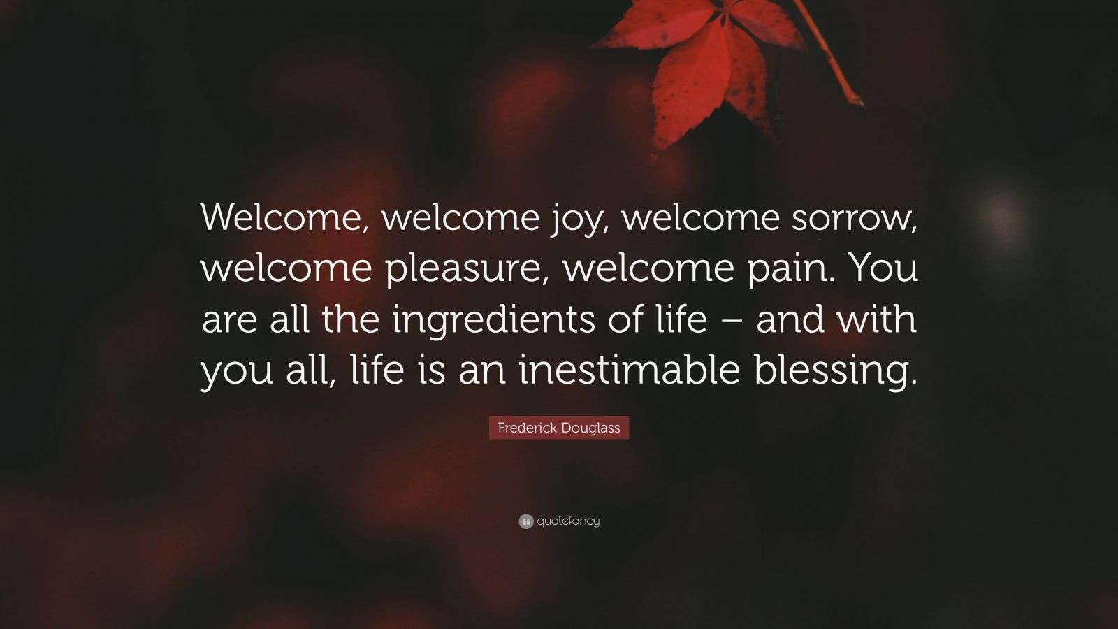 Frederick Douglass Quote: “Welcome, welcome joy, welcome sorrow ...