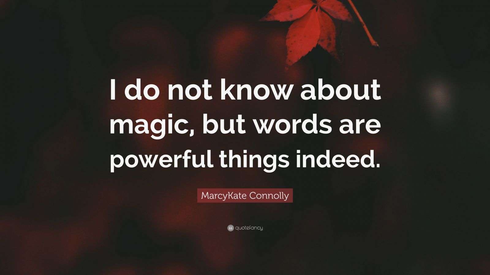 MarcyKate Connolly Quote: “I do not know about magic, but words are ...