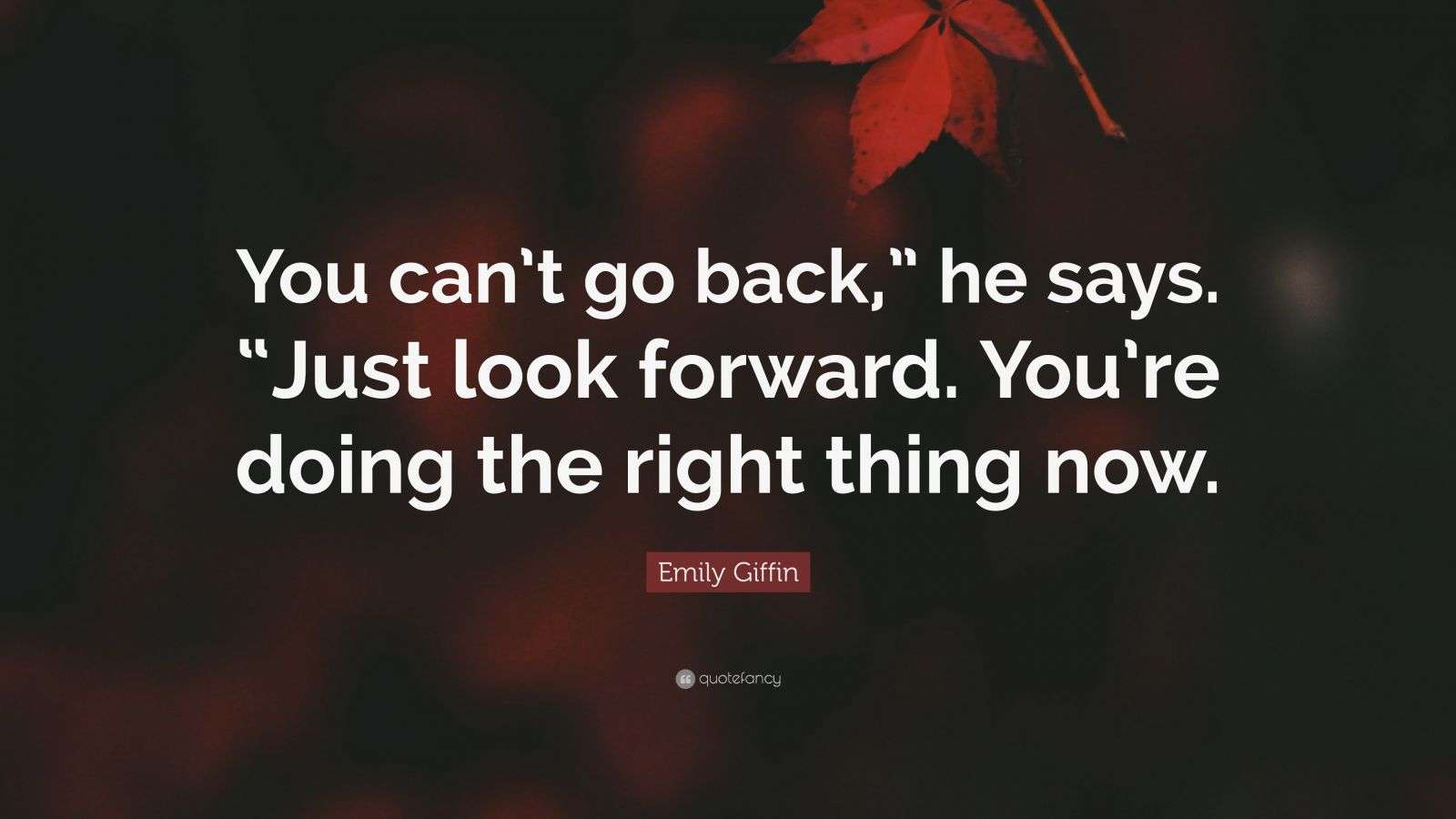 Emily Giffin Quote: “You can’t go back,” he says. “Just look forward ...