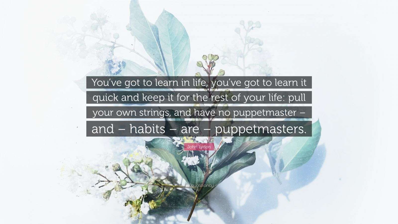 John Lydon Quote: “You’ve got to learn in life, you’ve got to learn it ...