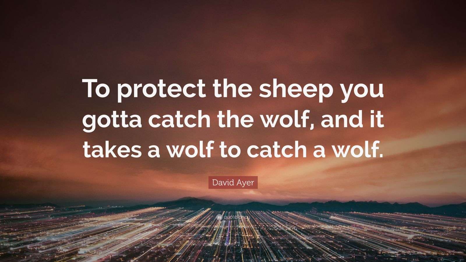 David Ayer Quote: “To protect the sheep you gotta catch the wolf, and ...