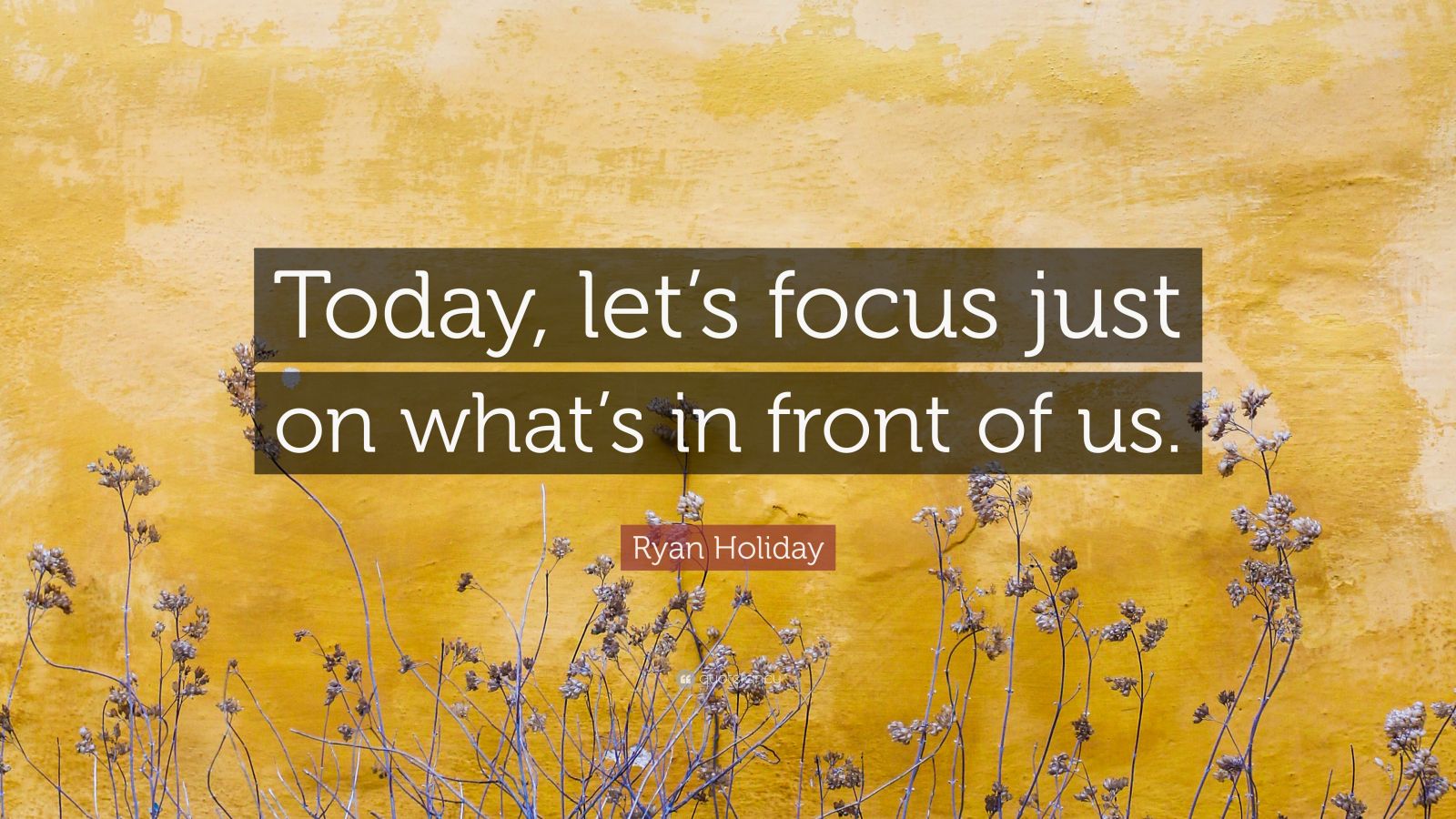 Ryan Holiday Quote: “Today, let’s focus just on what’s in front of us.”