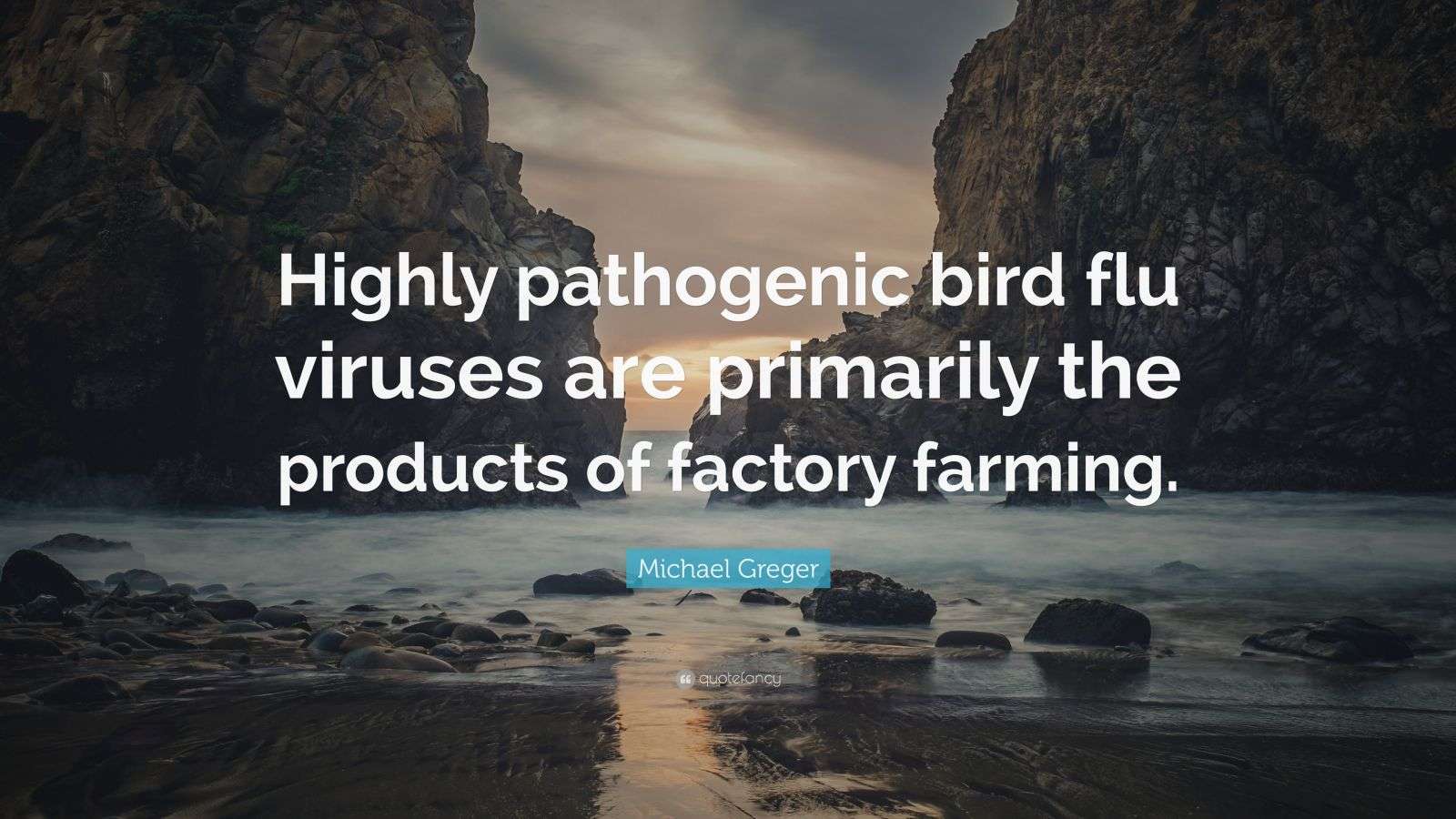 Michael Greger Quote: “Highly pathogenic bird flu viruses are primarily ...