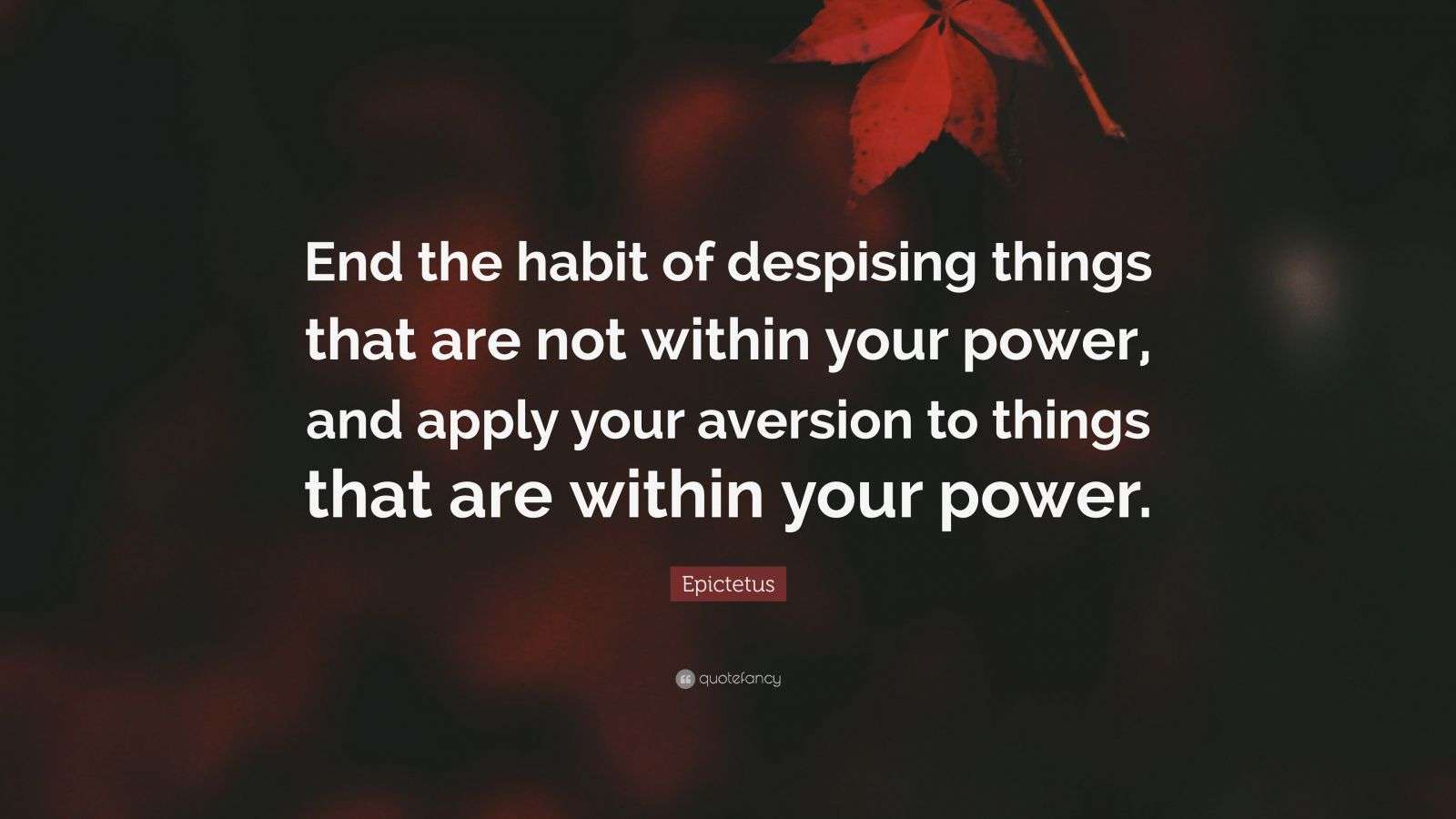 Epictetus Quote: “End the habit of despising things that are not within ...