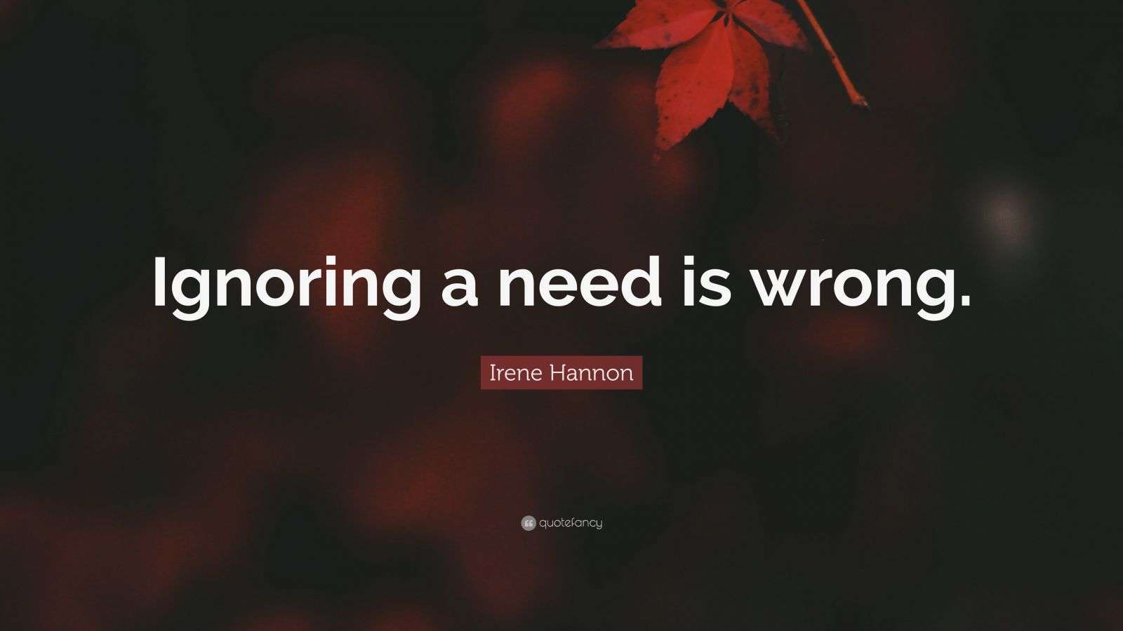 Irene Hannon Quote: “Ignoring a need is wrong.”