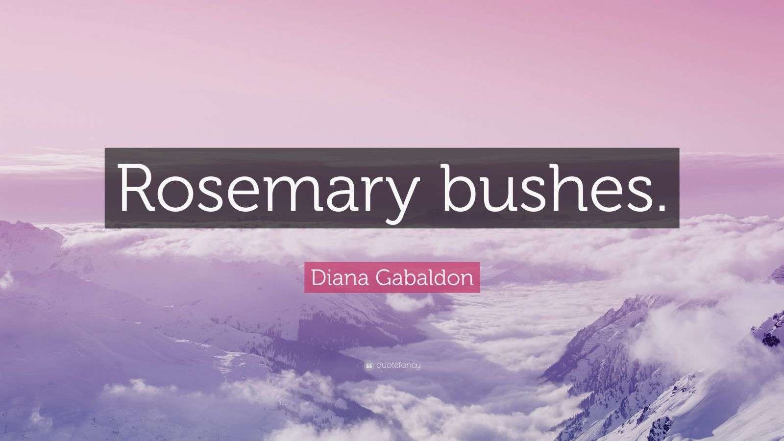 Diana Gabaldon Quote: “Rosemary bushes.”