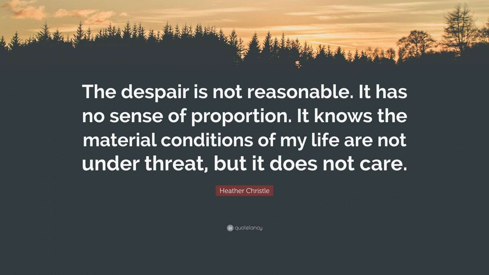 Heather Christle Quote: “The despair is not reasonable. It has no sense ...